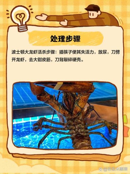 波士顿龙虾怎么处理_波士顿龙虾怎么杀-第1张图片-山城妙识