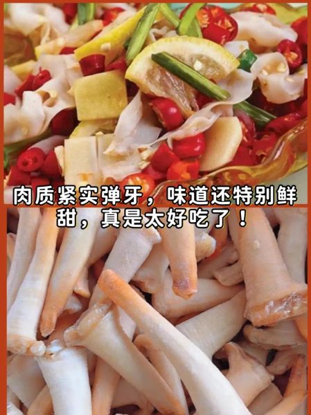 象拔蚌怎么做好吃_象拔蚌刺身做法-第2张图片-山城妙识