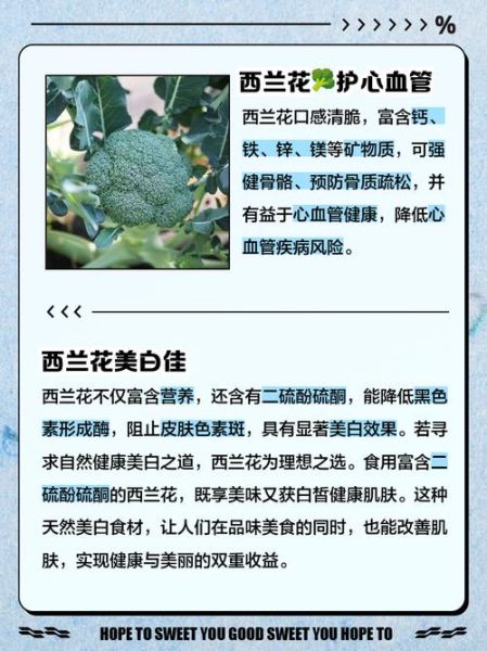 西兰花营养价值高吗_西兰花有哪些营养成分-第2张图片-山城妙识