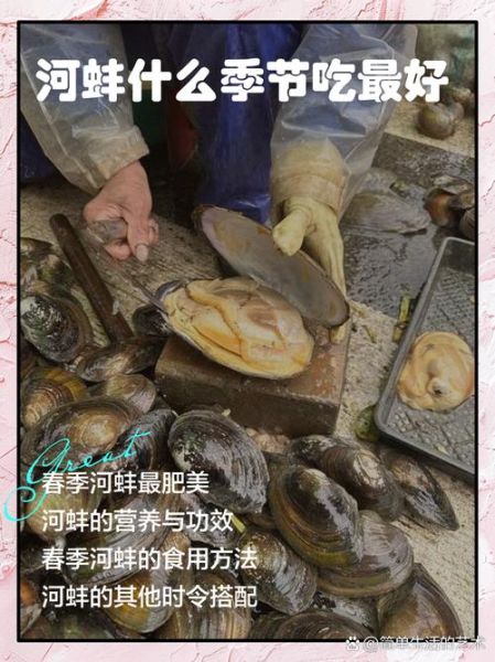 河蚌怎么做好吃又嫩_河蚌焯水几分钟才不老-第1张图片-山城妙识