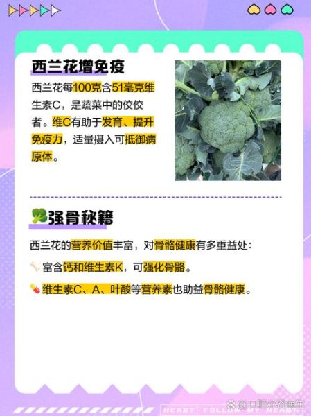 西兰花营养价值高吗_西兰花有哪些营养成分-第3张图片-山城妙识