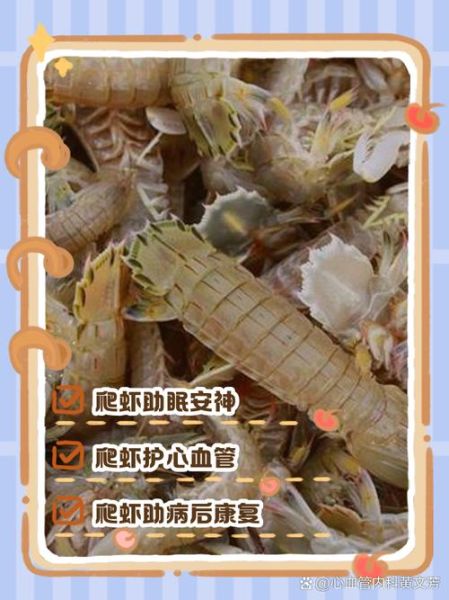 爬虾肉怎么做好吃_爬虾肉的营养价值高吗-第1张图片-山城妙识