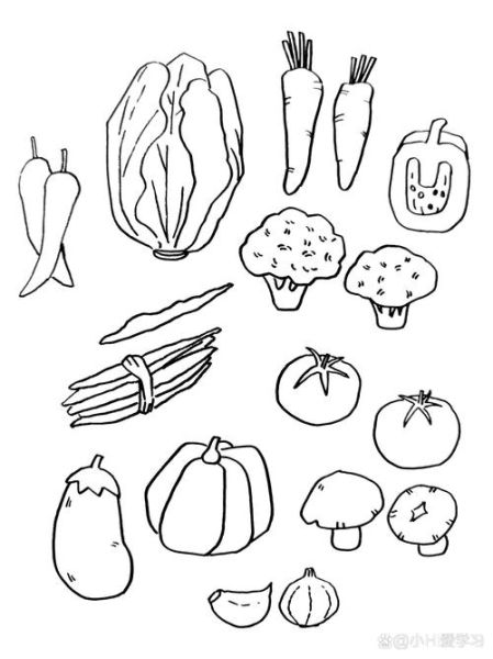 蔬菜简笔画大全_如何教孩子画蔬菜-第2张图片-山城妙识