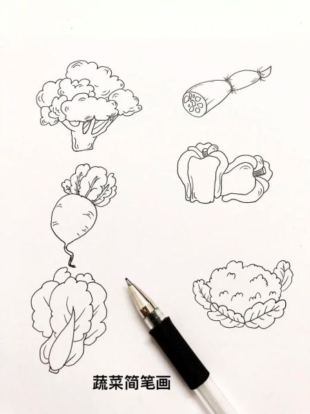 蔬菜简笔画大全_如何教孩子画蔬菜-第3张图片-山城妙识
