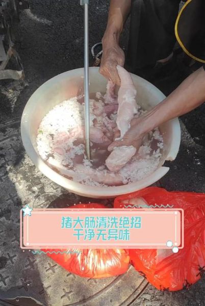 猪大肠怎么清洗_猪大肠清洗窍门-第1张图片-山城妙识 猪大肠怎么清洗_猪大肠清洗窍门-第1张图片-山城妙识