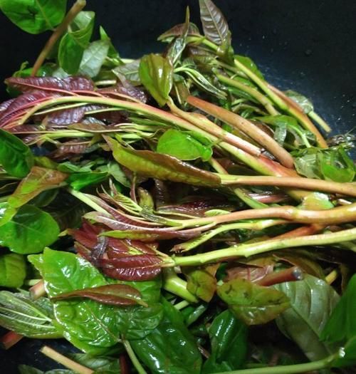 干香椿怎么泡发_干香椿炒鸡蛋家常做法-第3张图片-山城妙识 干香椿怎么泡发_干香椿炒鸡蛋家常做法-第3张图片-山城妙识