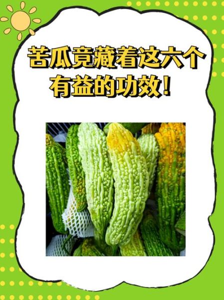 苦瓜怎么吃降血糖_糖尿病人吃苦瓜的正确方法-第3张图片-山城妙识