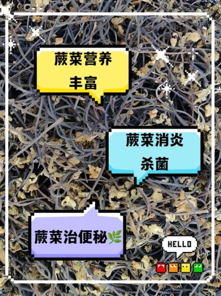 蕨菜的营养价值_蕨菜的功效与作用-第2张图片-山城妙识