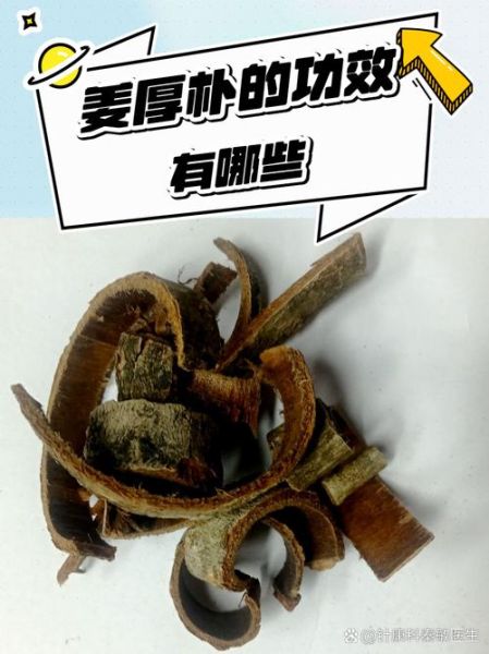 厚朴的功效与作用及禁忌_什么人不能吃厚朴-第3张图片-山城妙识