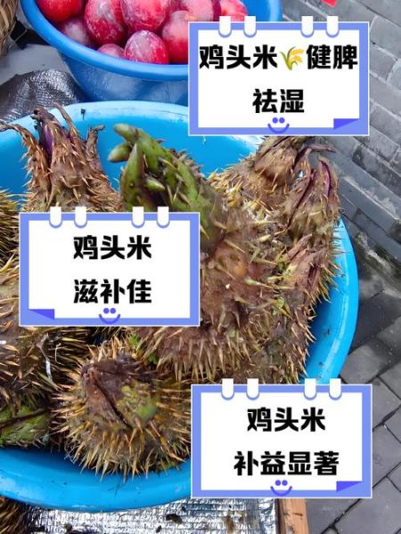 鸡头米怎么煮好吃_鸡头米的功效与作用-第1张图片-山城妙识