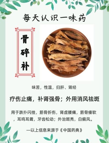 骨碎补的功效与作用及禁忌_骨碎补可以长期吃吗-第1张图片-山城妙识