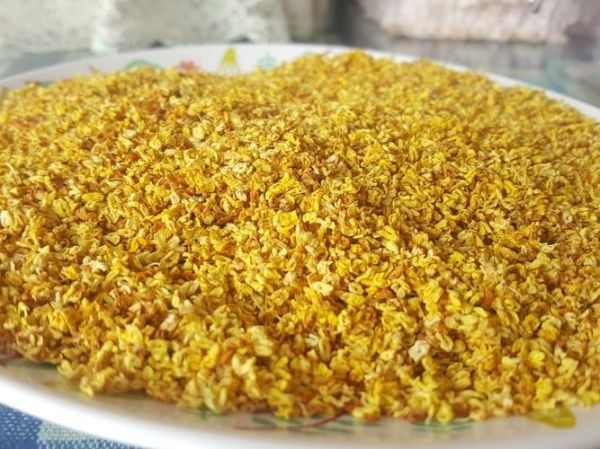 桂花蜜免费阅读_哪里能看正版全文-第1张图片-山城妙识 桂花蜜免费阅读_哪里能看正版全文-第1张图片-山城妙识