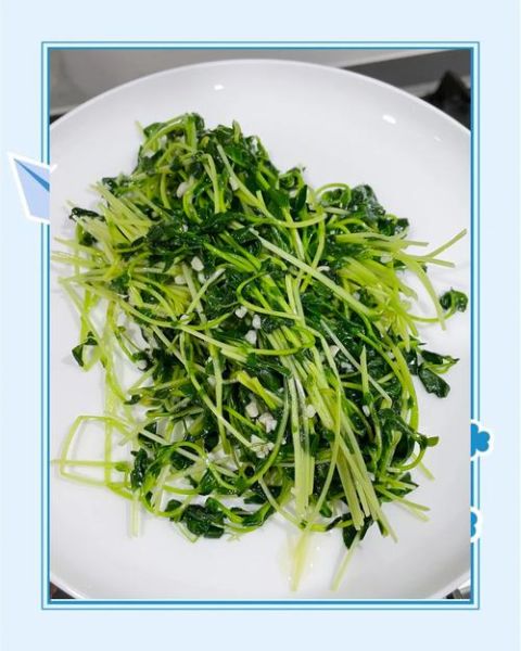 青豆苗怎么炒才好吃_青豆苗炒几分钟口感最佳-第1张图片-山城妙识 青豆苗怎么炒才好吃_青豆苗炒几分钟口感最佳-第1张图片-山城妙识