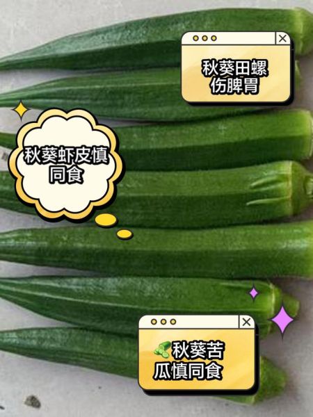 黄秋葵不能和什么一起吃_黄秋葵相克食物有哪些-第2张图片-山城妙识 黄秋葵不能和什么一起吃_黄秋葵相克食物有哪些-第2张图片-山城妙识