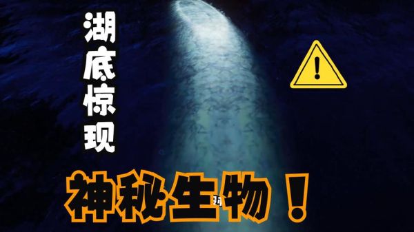深海100000米以下生物_真的存在吗-第1张图片-山城妙识