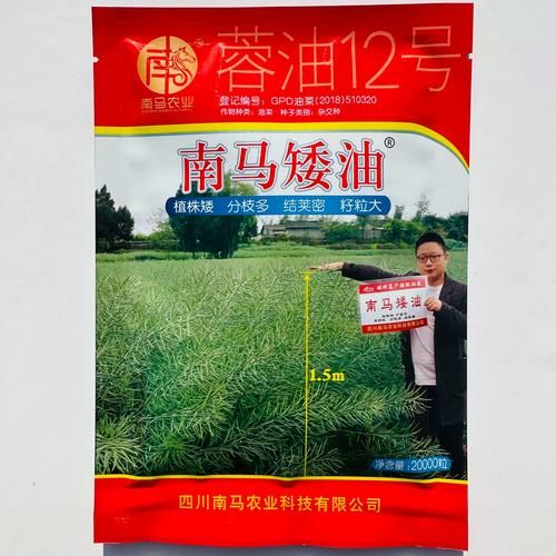 油菜籽价格最新行情2020_油菜籽价格走势分析-第3张图片-山城妙识