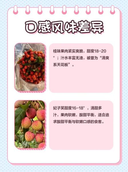 荔枝品种图片大全_如何区分妃子笑与桂味-第3张图片-山城妙识