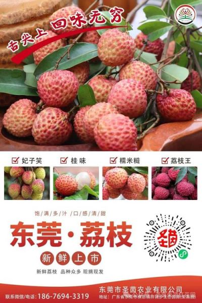 荔枝品种图片大全_如何区分妃子笑与桂味-第2张图片-山城妙识