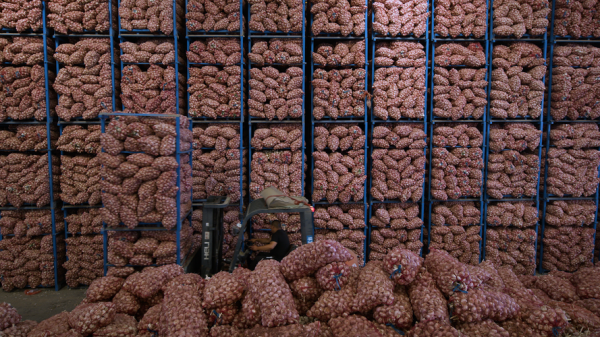 牡丹国际大蒜电子盘怎么开户_牡丹国际大蒜电子盘交易规则-第1张图片-山城妙识