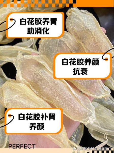 花胶是什么_花胶的功效与作用-第3张图片-山城妙识