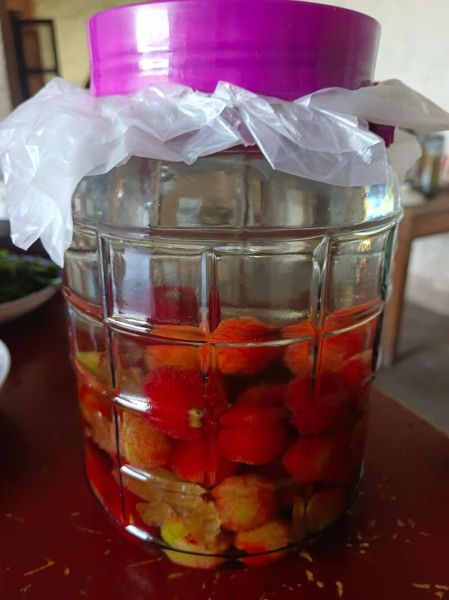 杨梅酒比例10斤酒放多少杨梅_杨梅酒制作方法公斤-第1张图片-山城妙识 杨梅酒比例10斤酒放多少杨梅_杨梅酒制作方法公斤-第1张图片-山城妙识