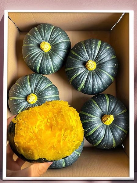 南瓜种类有哪些_如何挑选甜糯南瓜-第3张图片-山城妙识