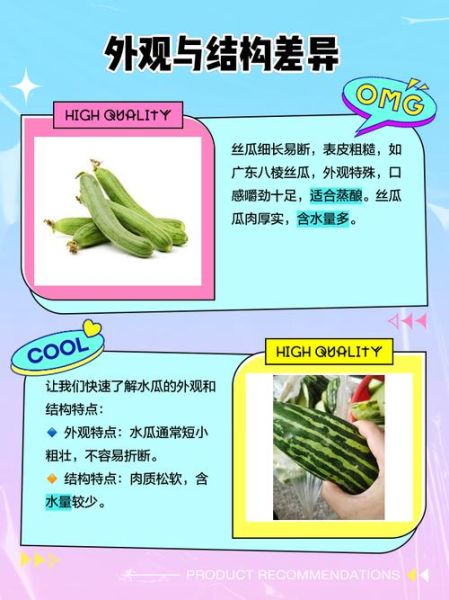 水瓜和丝瓜的区别_水瓜是丝瓜吗-第1张图片-山城妙识