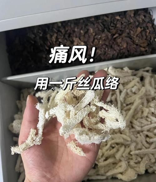 丝瓜络治痛风有效吗_丝瓜络治痛风怎么用-第1张图片-山城妙识 丝瓜络治痛风有效吗_丝瓜络治痛风怎么用-第1张图片-山城妙识