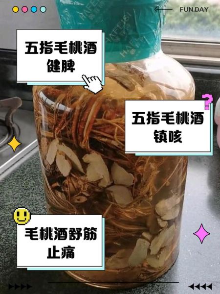 五指毛桃可以天天泡水喝吗_长期饮用的副作用-第1张图片-山城妙识