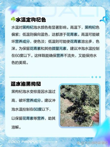 黑枸杞泡水颜色_黑枸杞泡水后颜色变化原因-第1张图片-山城妙识