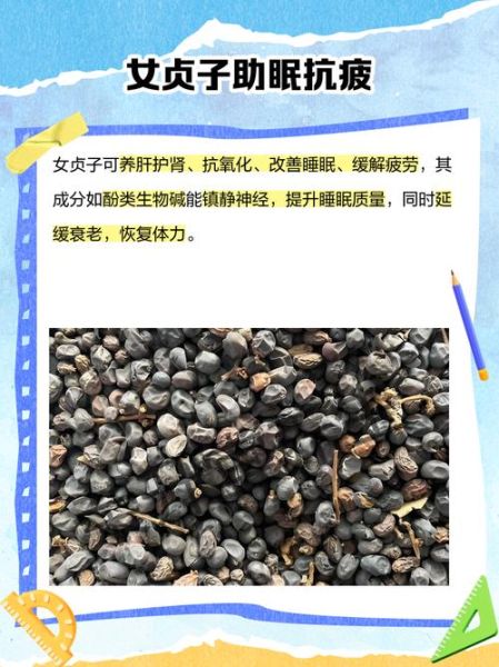 女贞子能直接泡水喝吗_女贞子泡水喝的正确方法-第2张图片-山城妙识