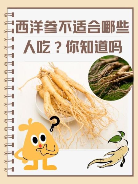 西洋参的功效与作用有哪些_西洋参适合什么人吃-第1张图片-山城妙识 西洋参的功效与作用有哪些_西洋参适合什么人吃-第1张图片-山城妙识
