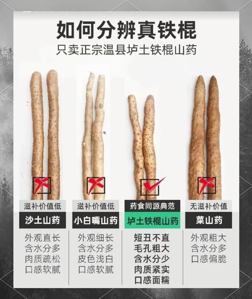 铁棍山药哪里正宗_温县垆土铁棍山药为什么好-第2张图片-山城妙识