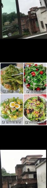 冰草多少钱一斤_冰草价格受哪些因素影响-第3张图片-山城妙识