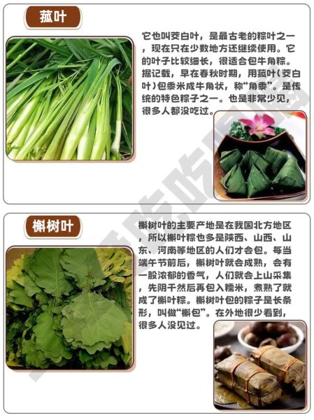端午粽叶是什么叶子_粽叶和芦苇叶区别-第2张图片-山城妙识