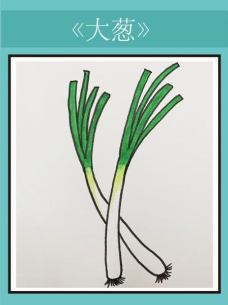 大葱简笔画怎么画_大葱图片简笔画教程-第3张图片-山城妙识 大葱简笔画怎么画_大葱图片简笔画教程-第3张图片-山城妙识