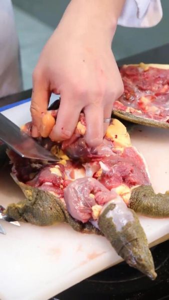 甲鱼怎么杀_甲鱼宰杀后怎么处理干净-第2张图片-山城妙识