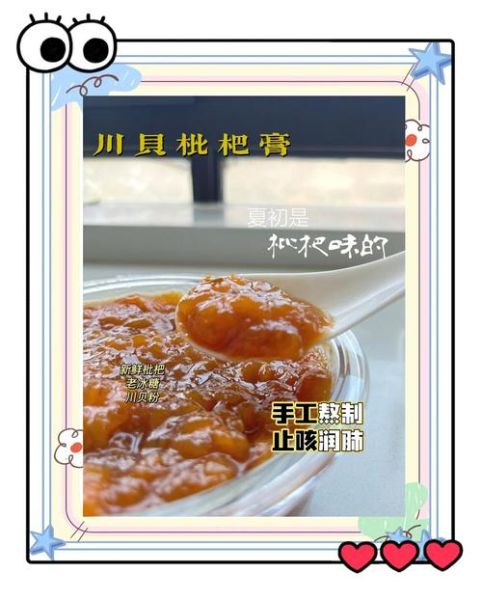 川贝枇杷膏怎么做_川贝枇杷膏的功效与禁忌-第3张图片-山城妙识 川贝枇杷膏怎么做_川贝枇杷膏的功效与禁忌-第3张图片-山城妙识