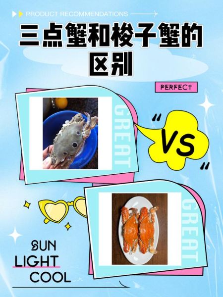 三点蟹和梭子蟹的区别_怎么挑选-第1张图片-山城妙识