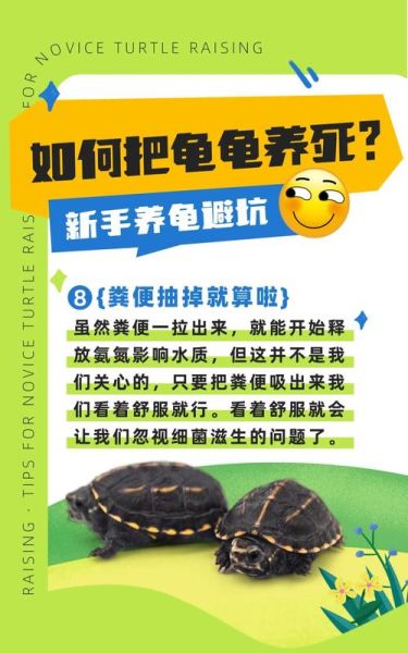 乌龟养双必死是真的吗_如何避免乌龟互斗-第2张图片-山城妙识 乌龟养双必死是真的吗_如何避免乌龟互斗-第2张图片-山城妙识