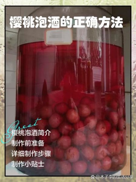 樱桃酒怎么泡_樱桃酒的功效与作用-第1张图片-山城妙识