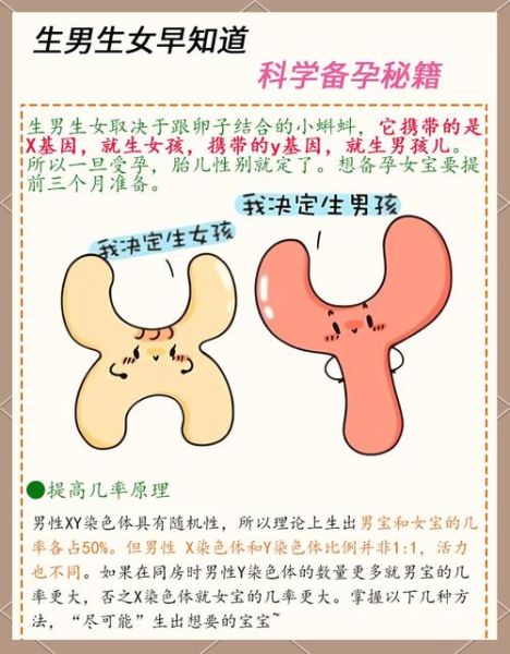 生男孩的科学方法_备孕怀男宝技巧-第2张图片-山城妙识
