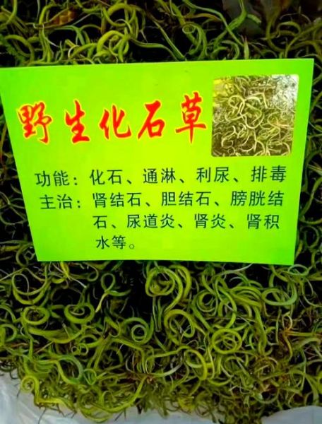 打结石的三种草药_真的有效吗-第1张图片-山城妙识