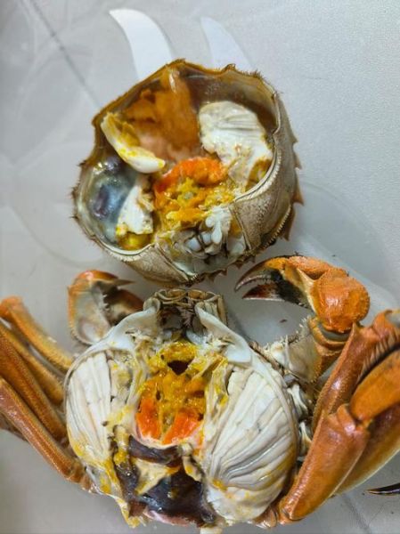 河蟹怎么保存才不会死_河蟹能活多久-第1张图片-山城妙识