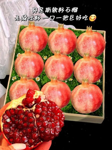 软籽石榴的功效与作用_软籽石榴的禁忌有哪些-第3张图片-山城妙识