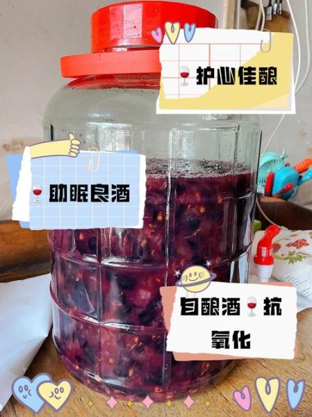 家庭版葡萄酒怎么做_自酿葡萄酒注意事项-第3张图片-山城妙识