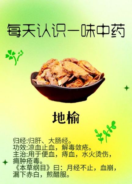 地榆的功效与作用_地榆的禁忌有哪些-第2张图片-山城妙识 地榆的功效与作用_地榆的禁忌有哪些-第2张图片-山城妙识