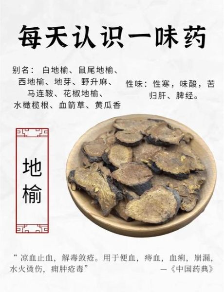 地榆的功效与作用_地榆的禁忌有哪些-第1张图片-山城妙识 地榆的功效与作用_地榆的禁忌有哪些-第1张图片-山城妙识