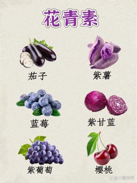 美容抗衰老的食物有哪些_哪些食物延缓衰老-第3张图片-山城妙识 美容抗衰老的食物有哪些_哪些食物延缓衰老-第3张图片-山城妙识