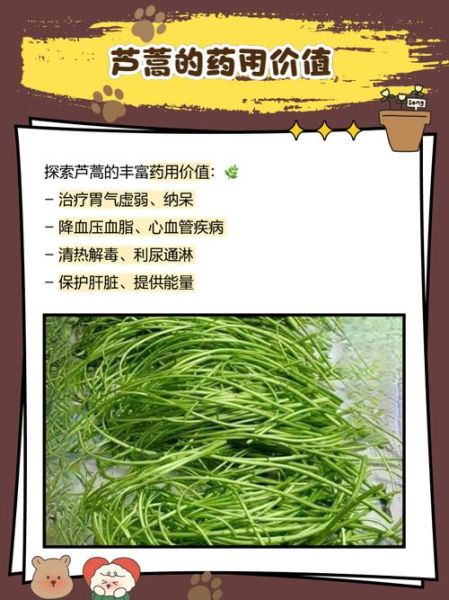 芦蒿叶子泡茶的功效与作用_芦蒿叶茶能天天喝吗-第2张图片-山城妙识